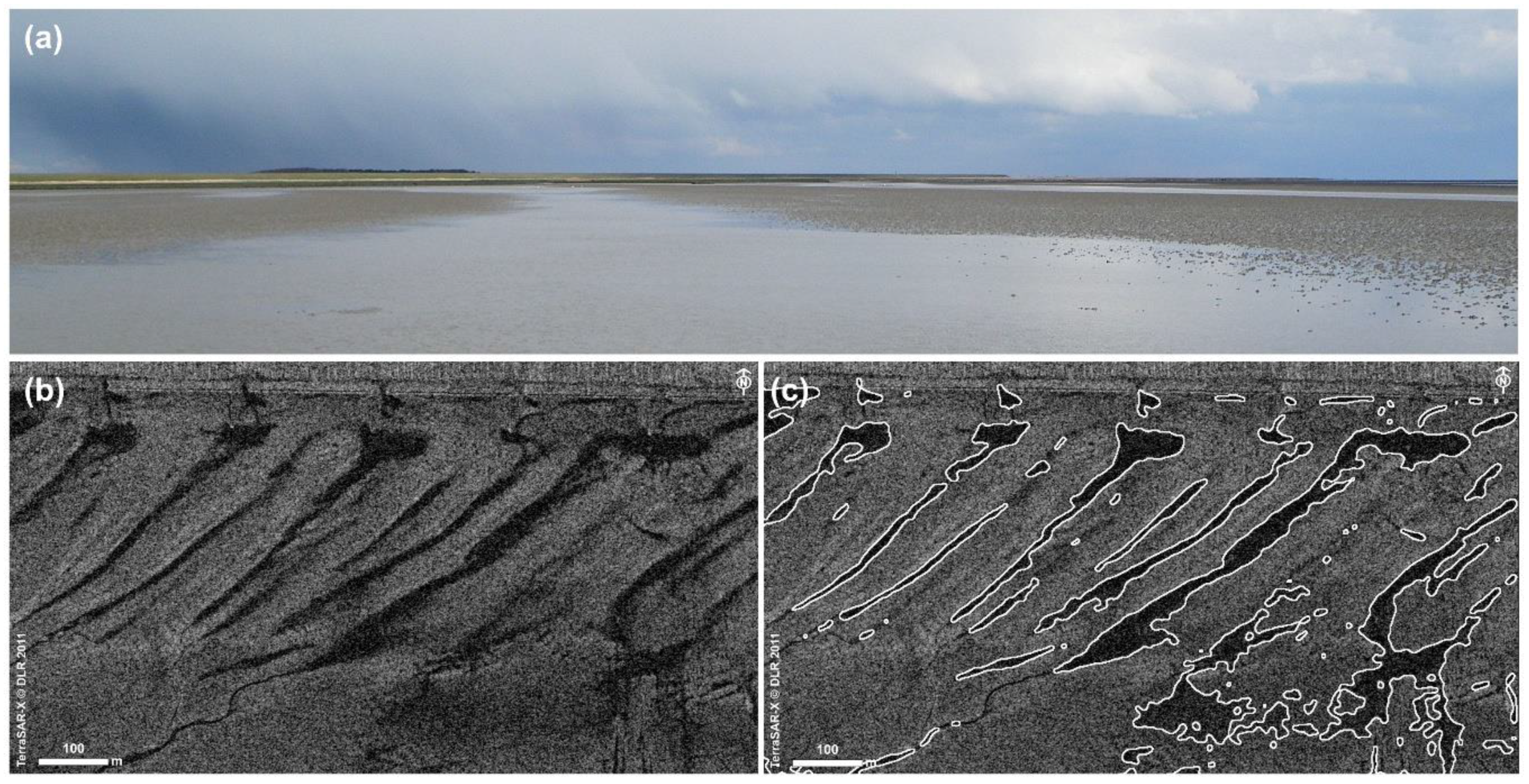 Remote Sensing | Free Full-Text | Remote Sensing Intertidal Flats with ...