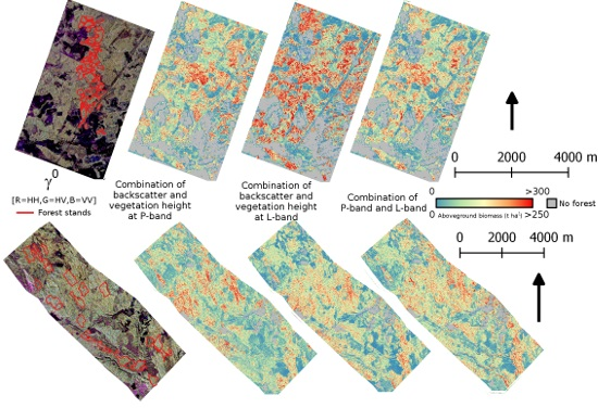 Remote Sensing | Free Full-Text | Aboveground Forest Biomass Estimation ...