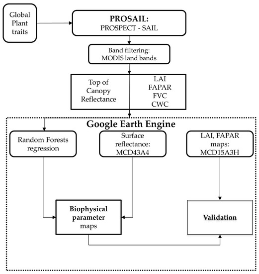 Global Estimation of Biophysical Variables from Google Earth Engine Platform