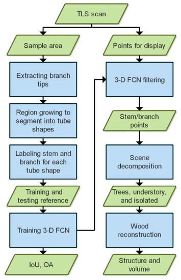 Filtering Stems and Branches from Terrestrial Laser Scanning Point ...