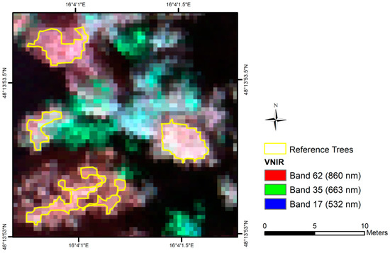 Individual Tree Crown Segmentation and Classification of 13 Tree Species Using Airborne ...