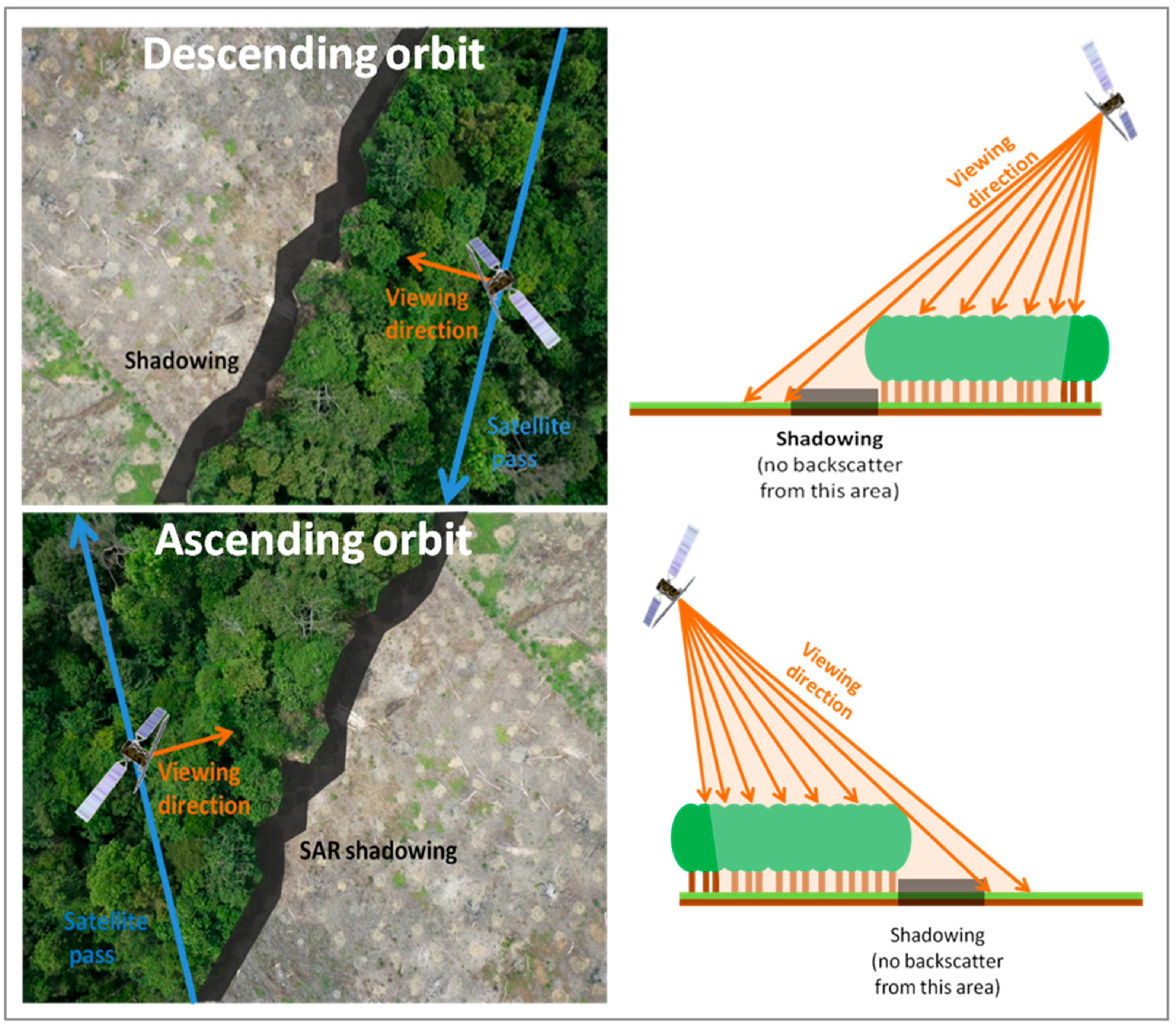 Use of the SAR Shadowing Effect for Deforestation Detection with Sentinel-1 Time Series