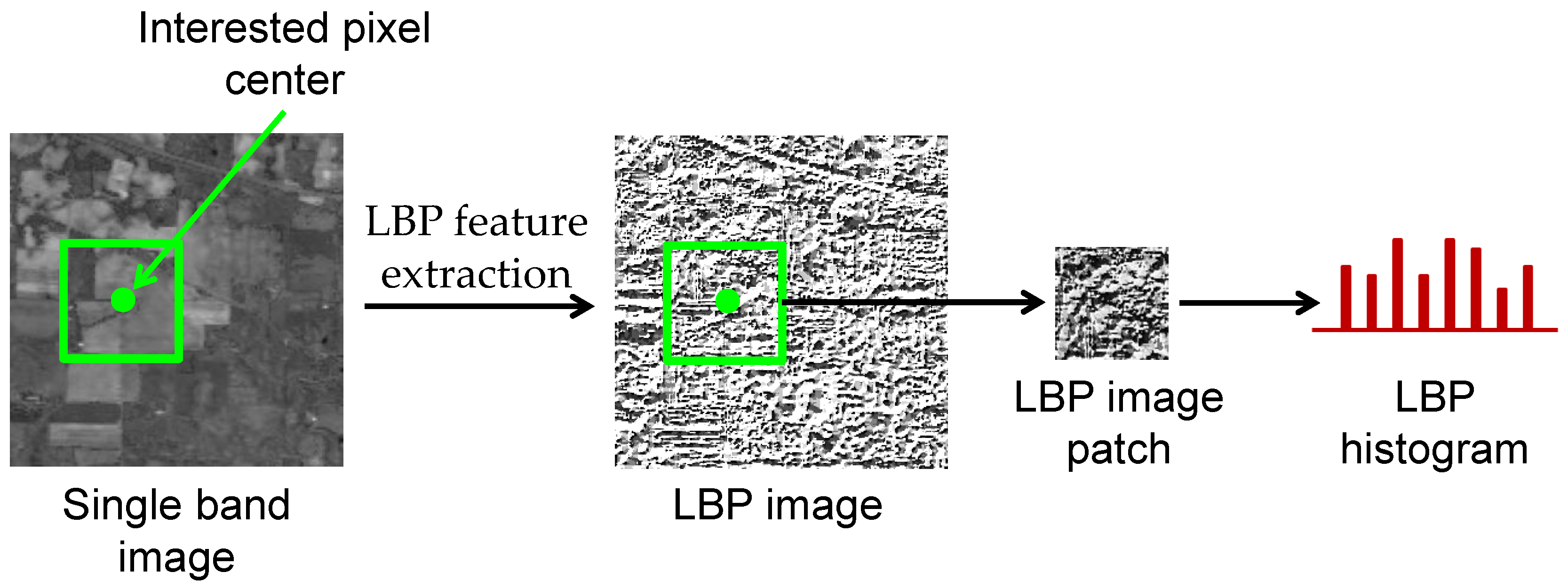 Spectral and Spatial Classification of Hyperspectral Images Based on ...