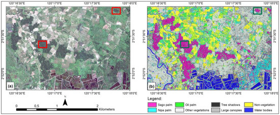 Remote Sensing | Free Full-Text | Object-Based Image Analysis for Sago Palm Classification: The ...