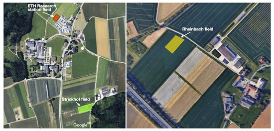 WeedMap: A Large-Scale Semantic Weed Mapping Framework Using Aerial ...