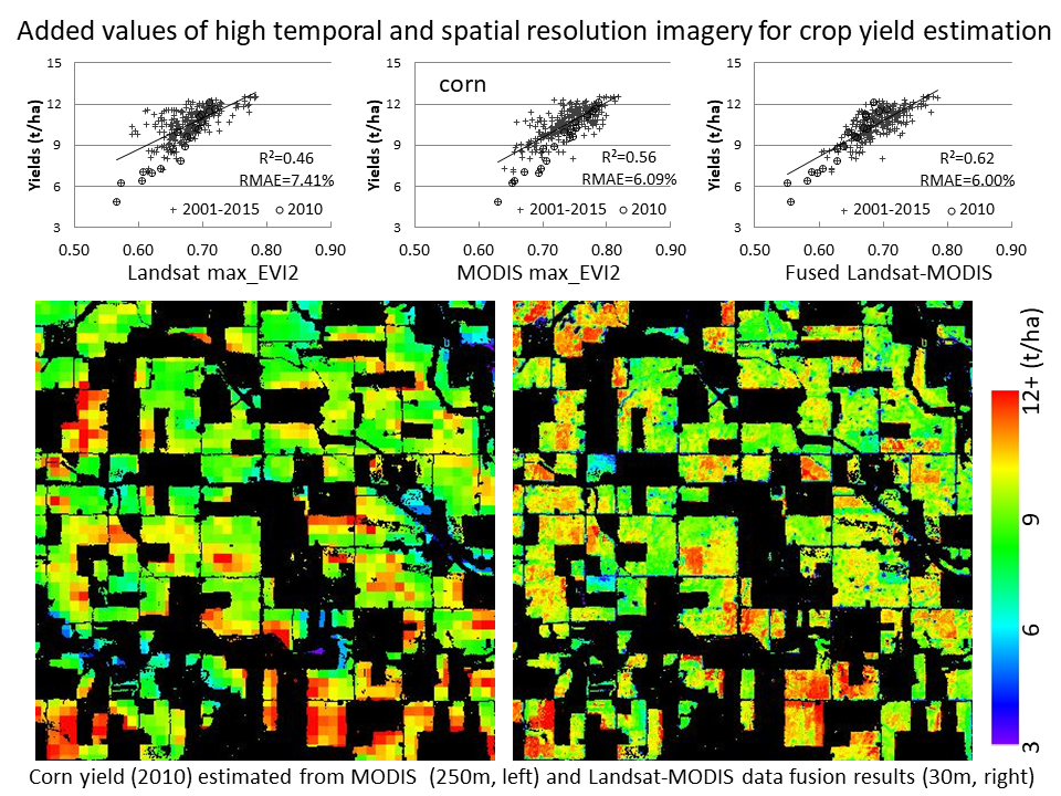 Remote Sensing | Free Full-Text | Assessing the Variability of Corn and ...