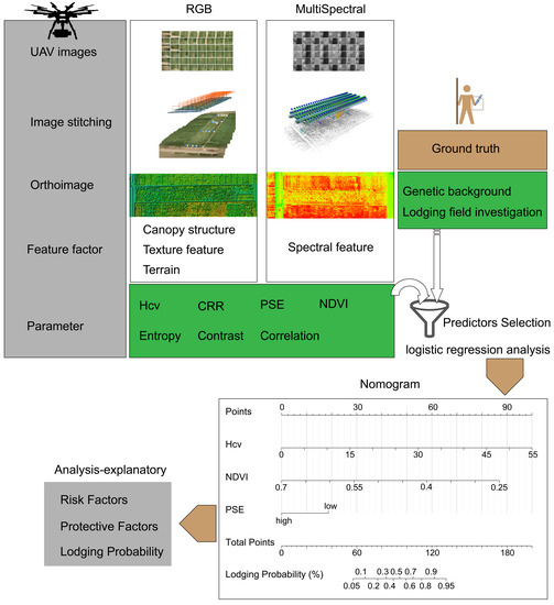 Remote Sensing Free Full Text Quantitative Identification Of Maize Lodging Causing Feature