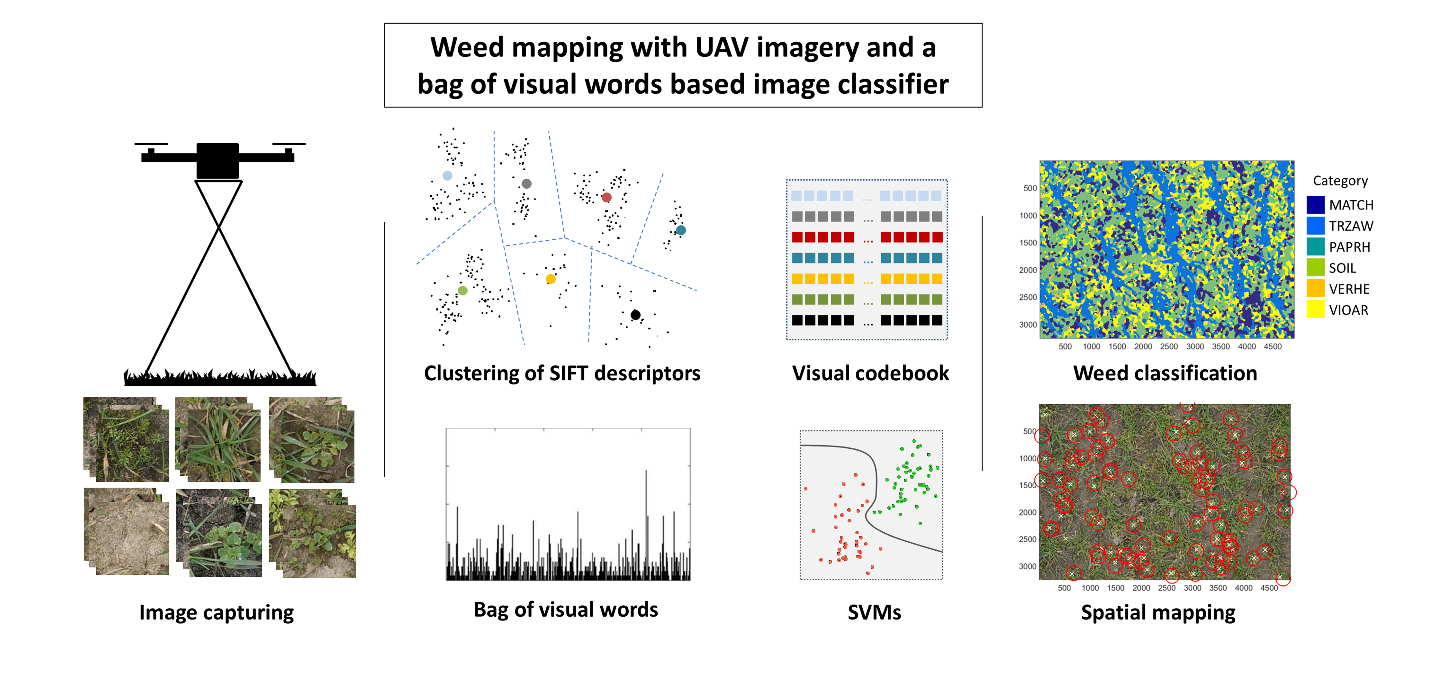 Remote Sensing | Free Full-Text | Weed Mapping with UAS Imagery and a Bag of Visual Words Based ...