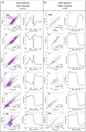 Mapping the Leaf Economic Spectrum across West African Tropical Forests ...