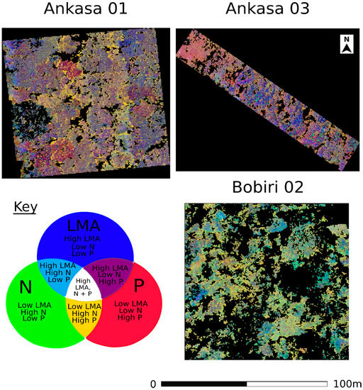 Mapping the Leaf Economic Spectrum across West African Tropical Forests ...