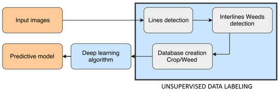 Deep Learning with Unsupervised Data Labeling for Weed Detection in Line Crops in UAV Images