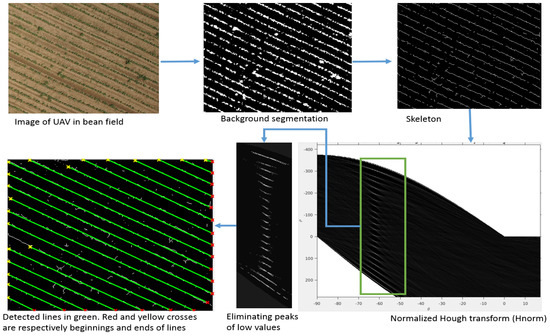 Deep Learning with Unsupervised Data Labeling for Weed Detection in Line Crops in UAV Images