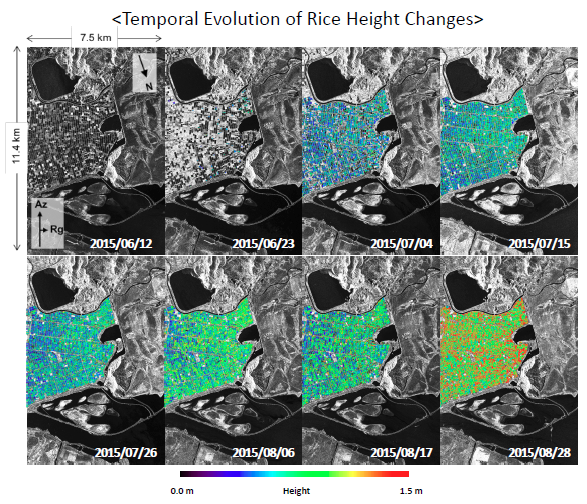 Remote Sensing | Free Full-Text | Vegetation Height Estimate in Rice ...