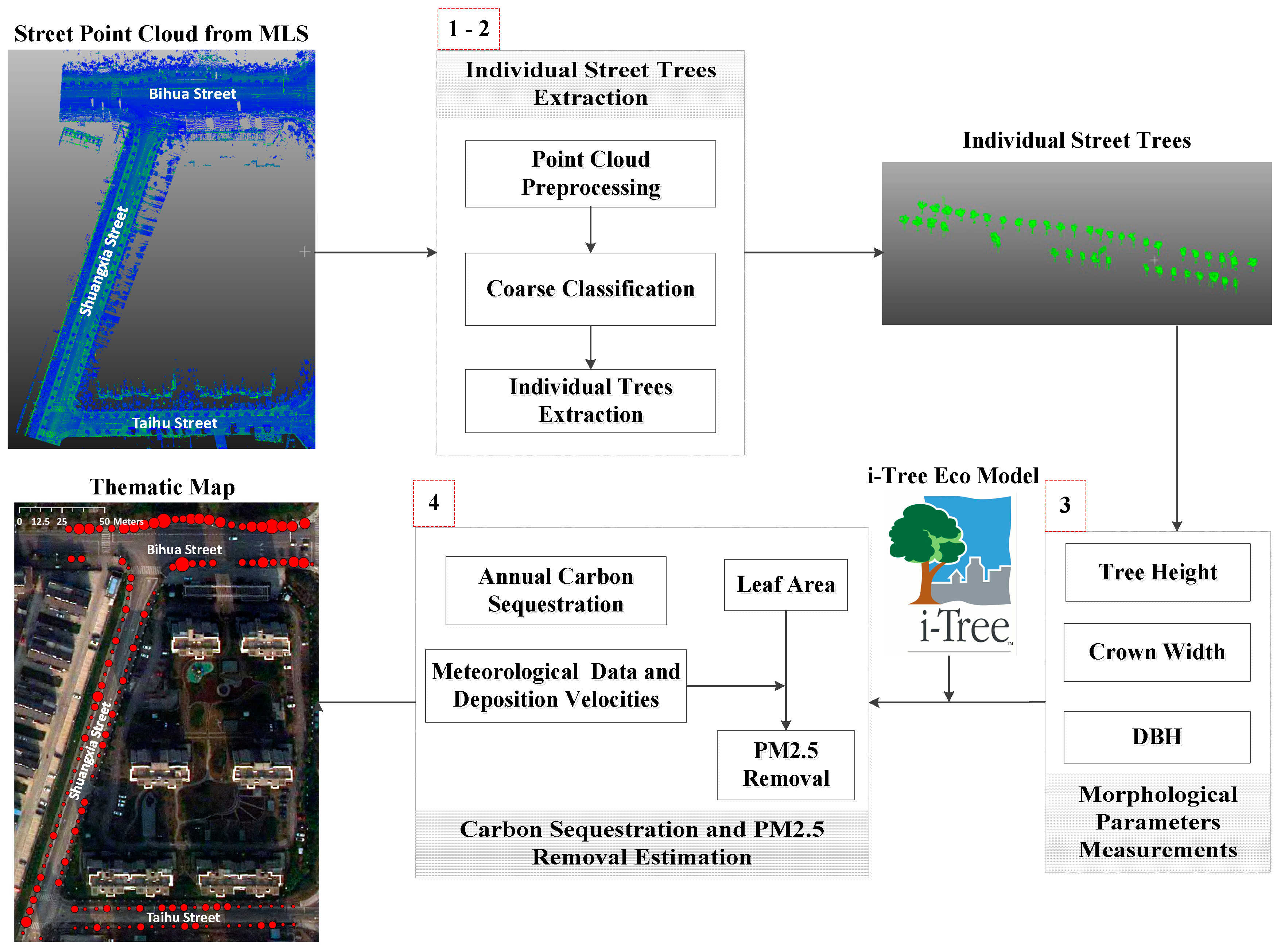 Evaluating Carbon Sequestration and PM2.5 Removal of Urban Street Trees ...