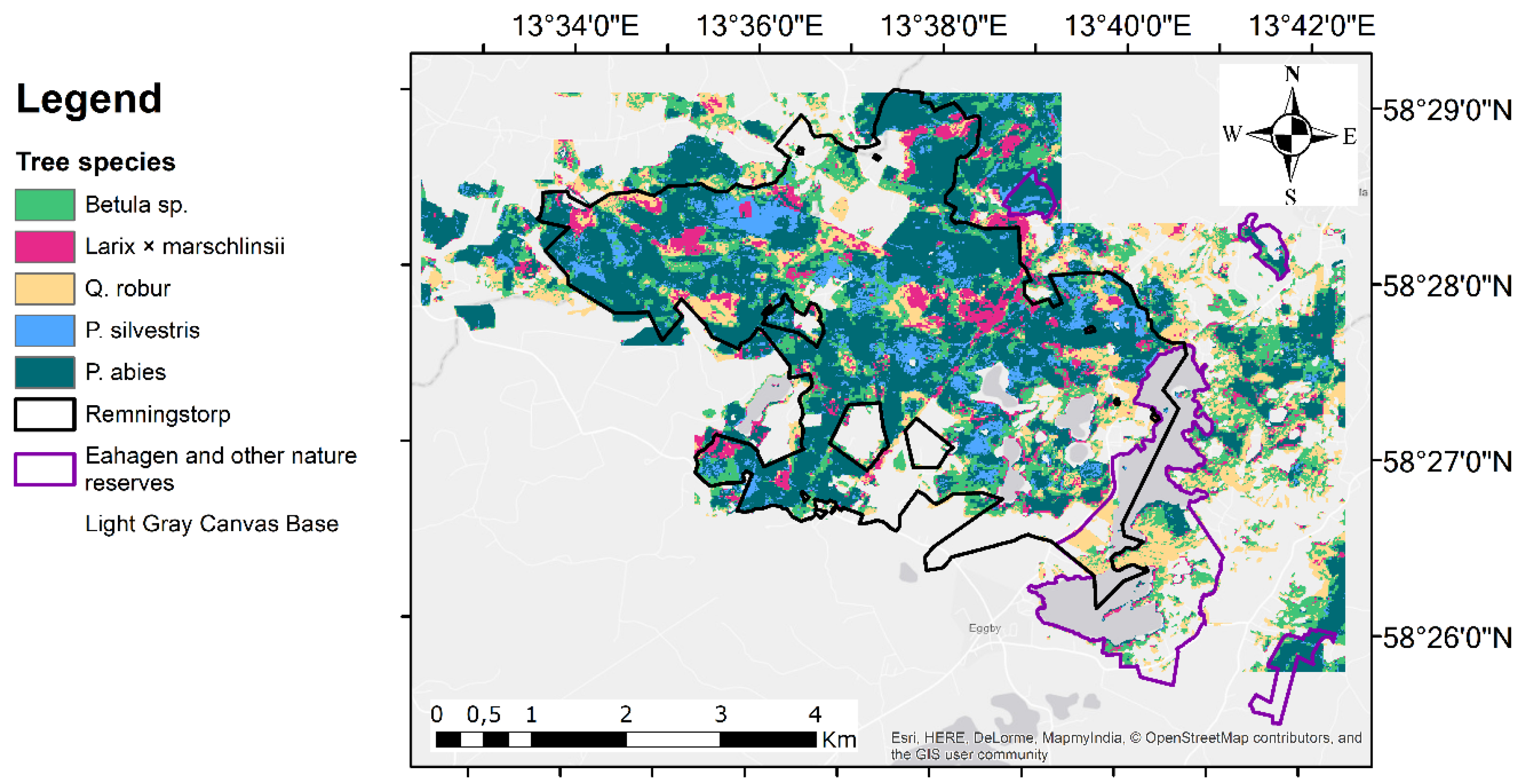 Tree Species Classification with Multi-Temporal Sentinel-2 Data