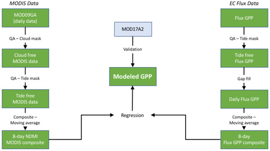 Remote Sensing | Free Full-Text | A Comparison between the MODIS Product (MOD17A2) and a Tide ...