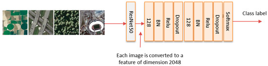 Learning a Multi-Branch Neural Network from Multiple Sources for Knowledge Adaptation in Remote ...