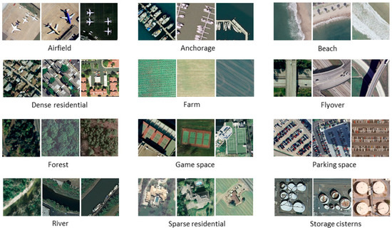 Learning a Multi-Branch Neural Network from Multiple Sources for Knowledge Adaptation in Remote ...