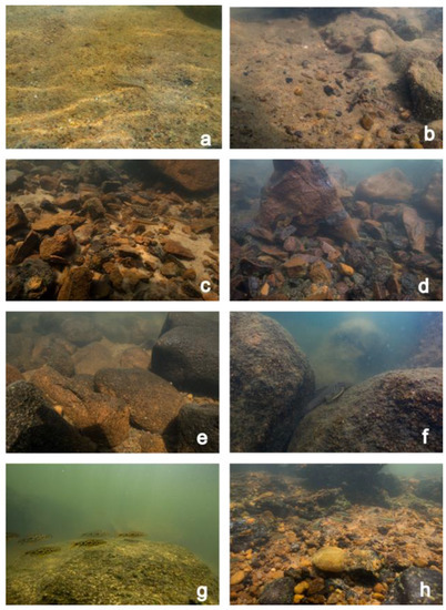 Freshwater Fish Habitat Complexity Mapping Using Above and Underwater ...