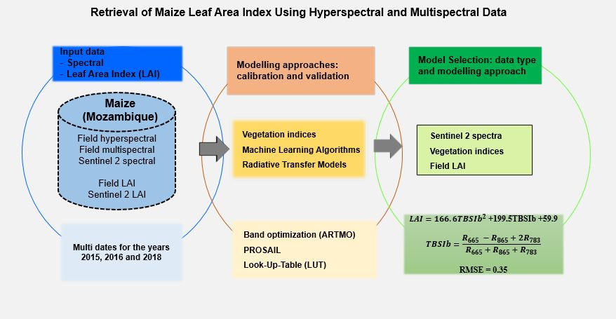 Remote Sensing | Free Full-Text | Retrieval of Maize Leaf Area Index ...