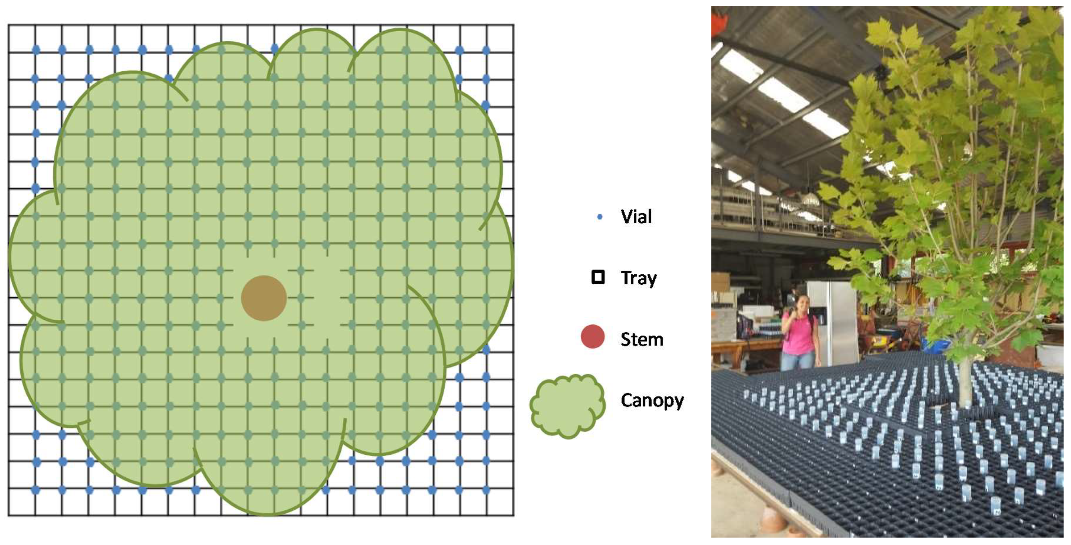 Using Remote Sensing To Count Trees Gis Lounge