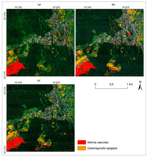 Remote Sensing | Special Issue : Remote Sensing for Land Cover/Land Use ...