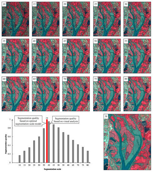 Dynamic Analysis of Mangrove Forests Based on an Optimal Segmentation ...