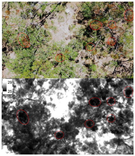 Remote Sensing | Special Issue : High-Resolution Thermal Imaging for ...