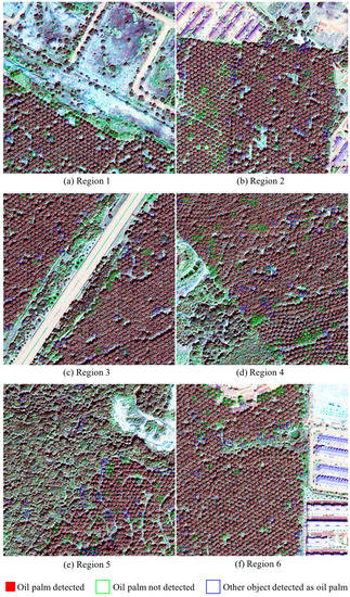 Remote Sensing | Free Full-Text | Large-Scale Oil Palm Tree Detection ...