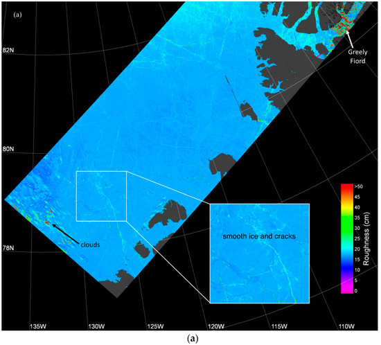 Arctic Sea Ice Surface Roughness Estimated from Multi-Angular ...
