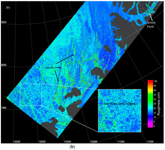Arctic Sea Ice Surface Roughness Estimated from Multi-Angular ...