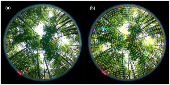 Remote Sensing | Special Issue : Leaf Area Index (LAI) Retrieval using Remote Sensing