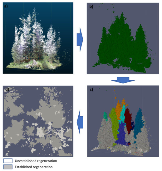 Remote Sensing | Free Full-Text | A Single-Tree Processing Framework Using Terrestrial Laser ...