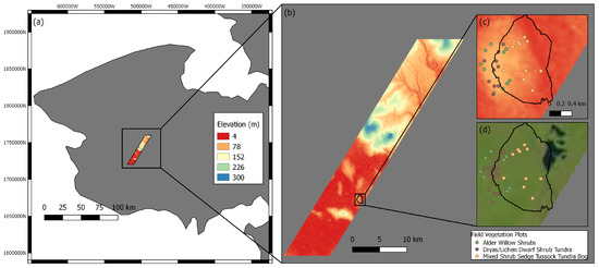 Arctic Vegetation Mapping Using Unsupervised Training Datasets and Convolutional Neural Networks