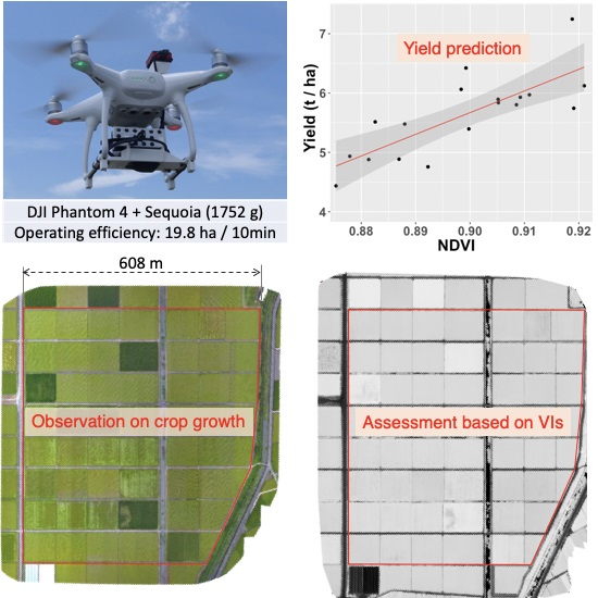 Remote Sensing Free Full Text Assessing Correlation Of High Resolution Ndvi With Fertilizer