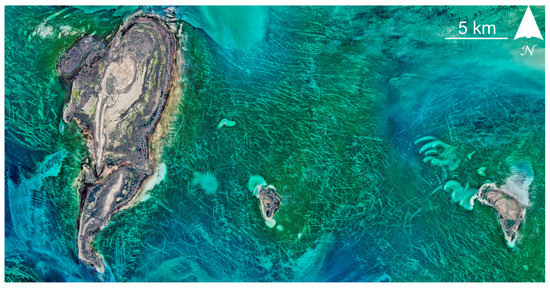 Ice-Gouging Topography of the Exposed Aral Sea Bed