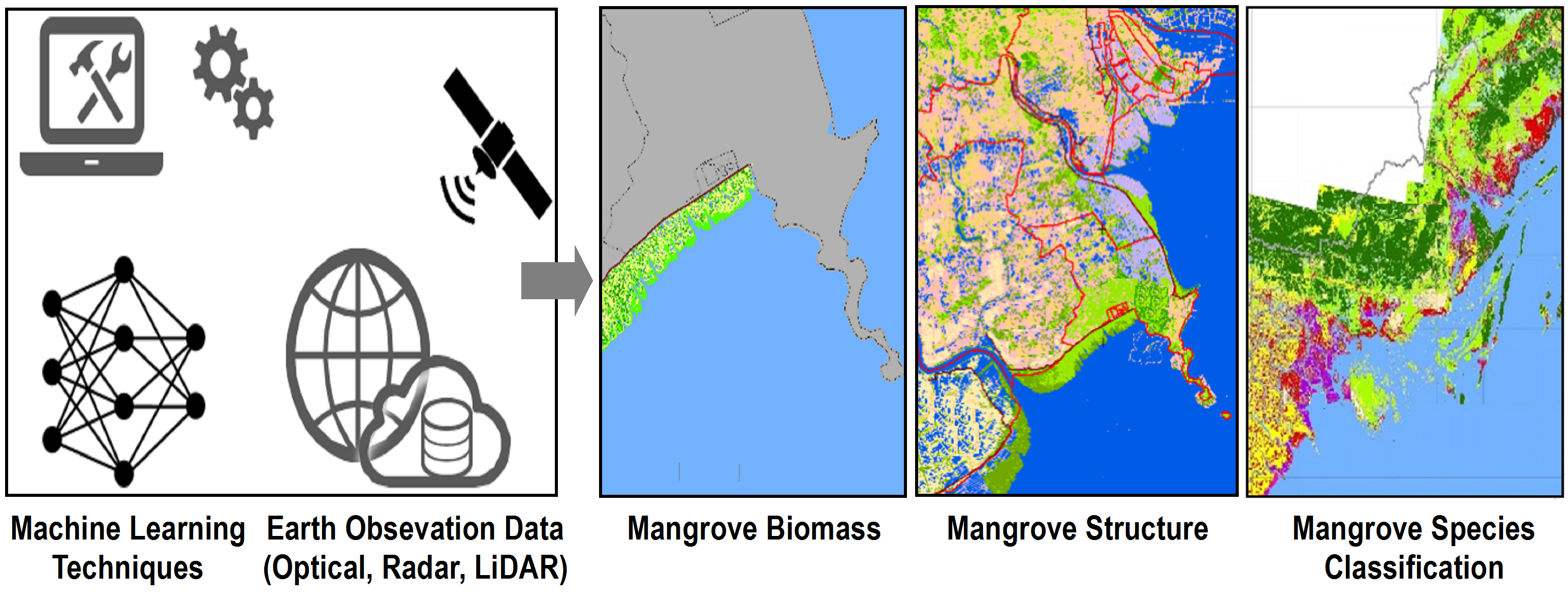 Remote Sensing | Free Full-Text | Remote Sensing Approaches for Monitoring Mangrove Species ...