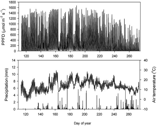 Diurnal and Seasonal Solar Induced Chlorophyll Fluorescence and ...