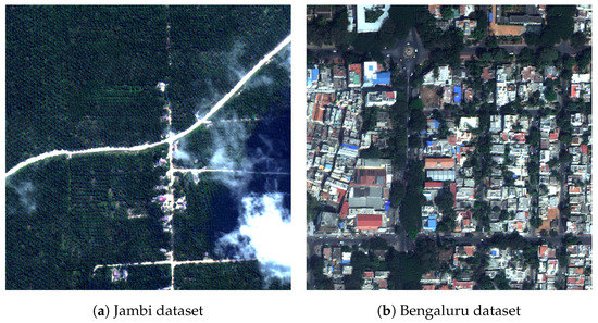 Large Scale Palm Tree Detection in High Resolution Satellite Images Using U-Net