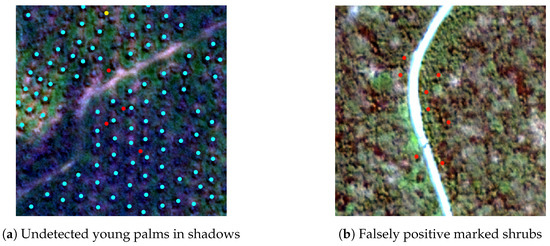 Large Scale Palm Tree Detection in High Resolution Satellite Images ...