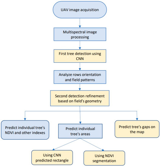 Remote Sensing | Free Full-Text | UAV-Based High Throughput Phenotyping ...