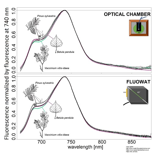 Remote Sensing | Free Full-Text | Leaf-Level Spectral Fluorescence ...