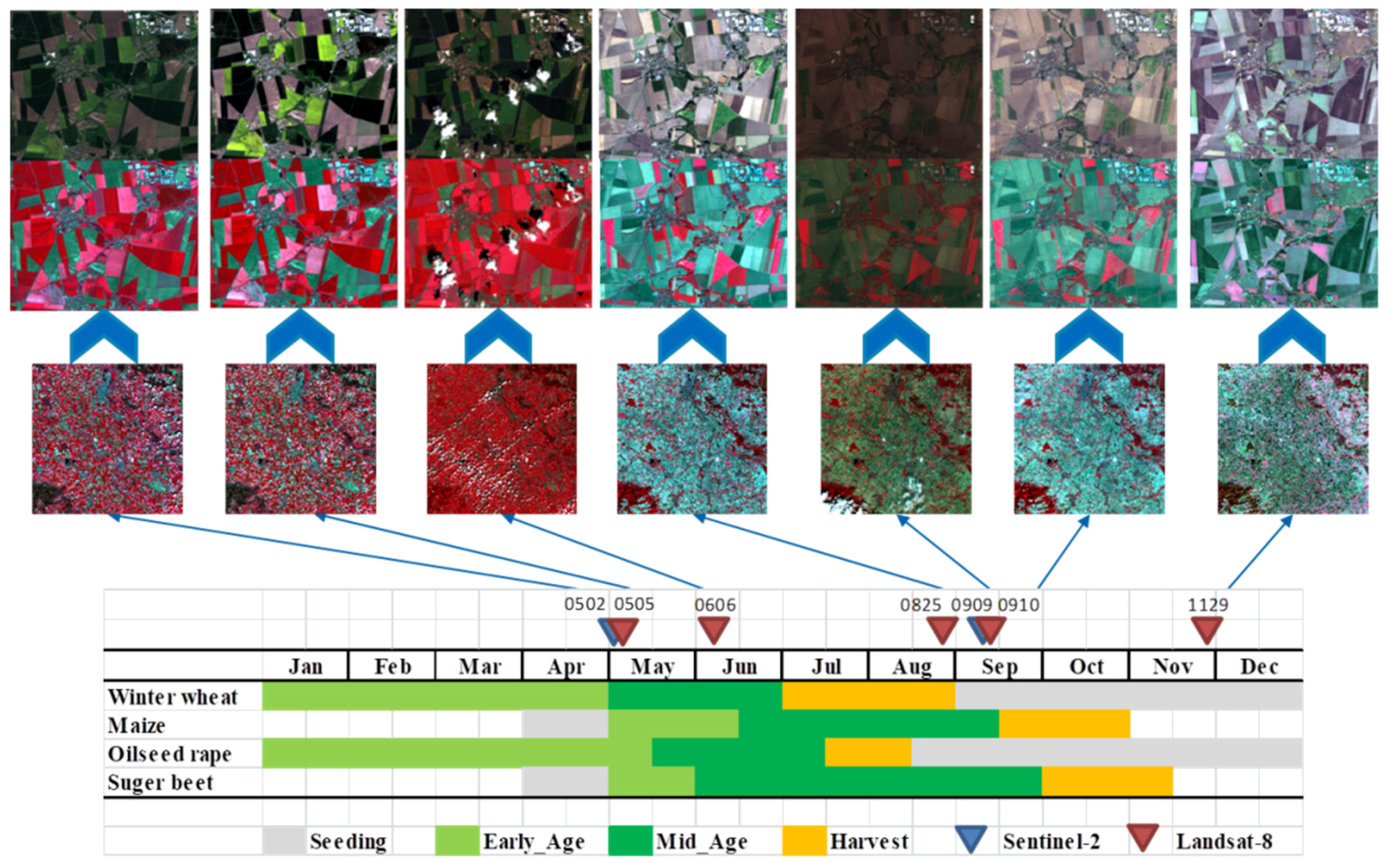 Feature Comparison and Optimization for 30-M Winter Wheat Mapping Based on Landsat-8 and ...