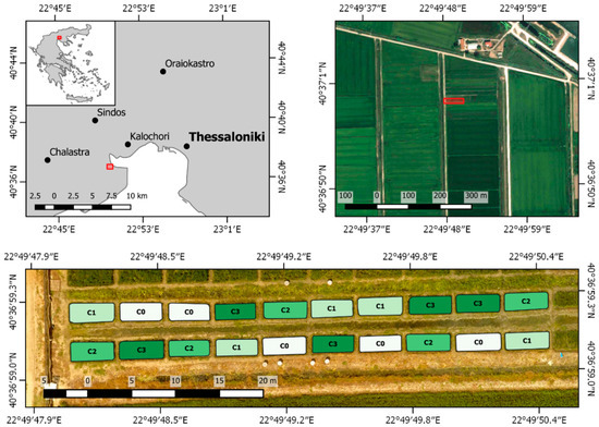 Estimating Rice Agronomic Traits Using Drone-Collected Multispectral ...