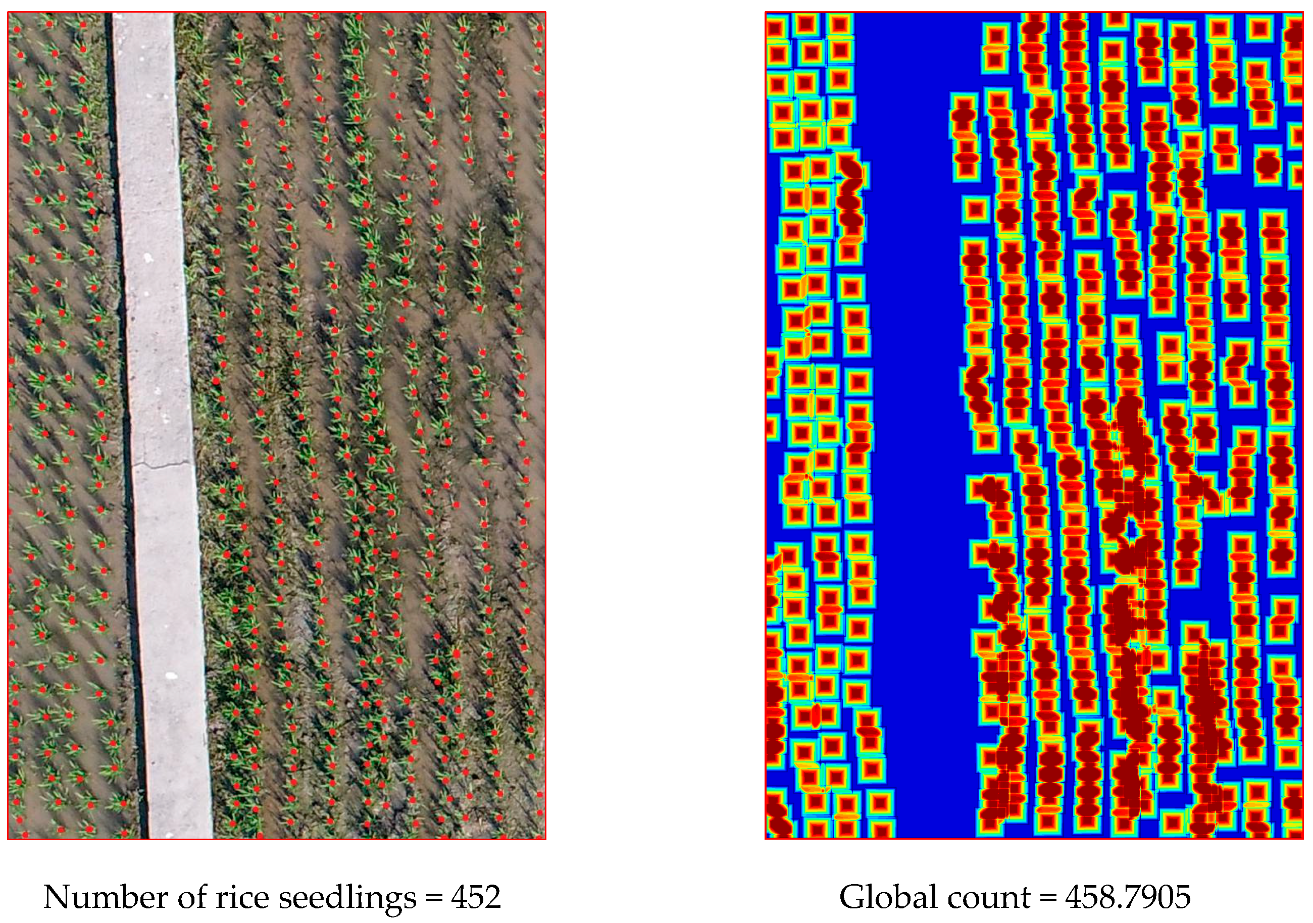 Automatic Counting of in situ Rice Seedlings from UAV Images Based on a ...