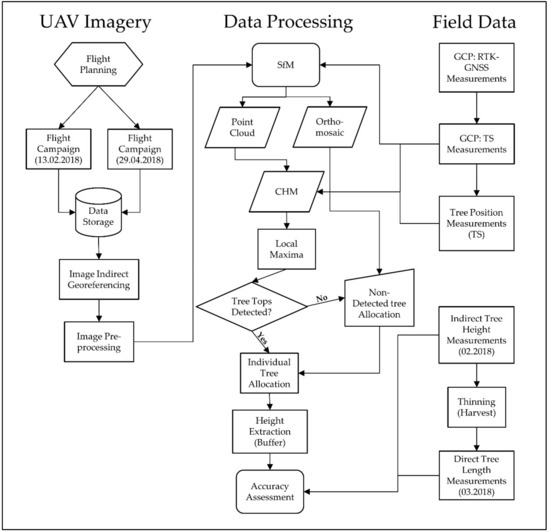 Remote Sensing | Free Full-Text | UAV-Based Photogrammetric Tree Height ...