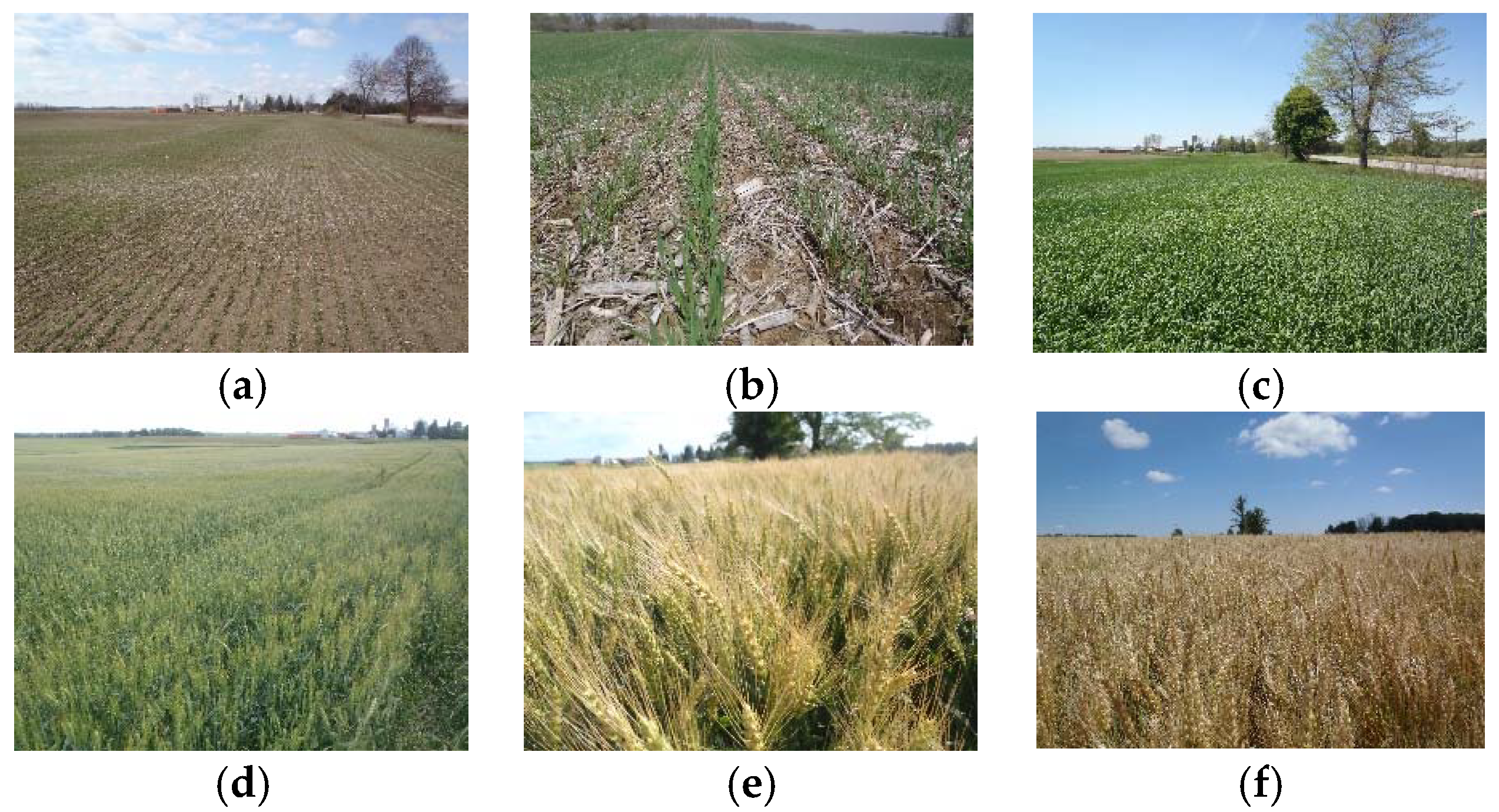 Remote Sensing | Free Full-Text | On the Use of Neumann Decomposition ...