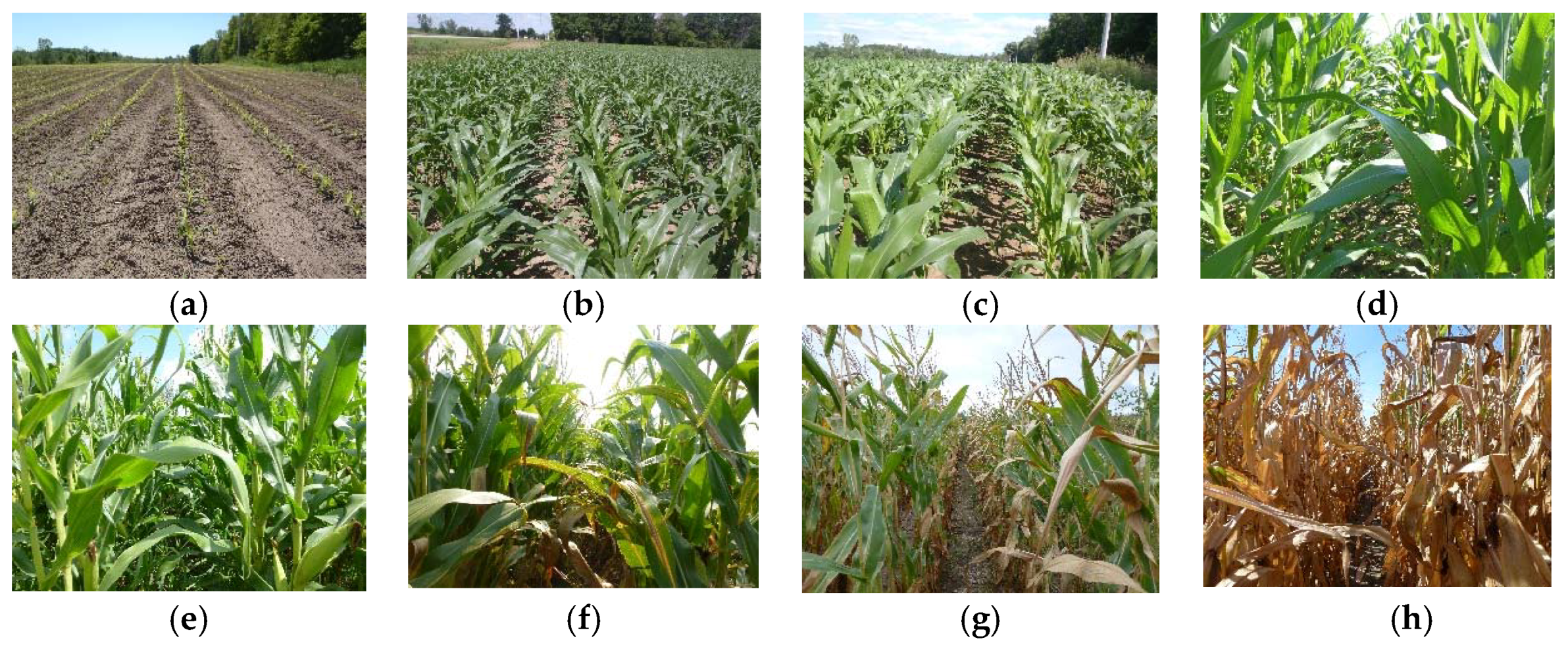 Remote Sensing | Free Full-Text | On the Use of Neumann Decomposition ...