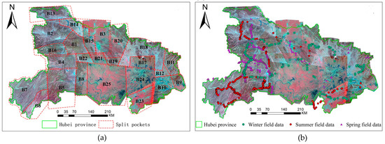 Spatial Pattern of Forest Carbon Storage in the Vertical and Horizontal ...