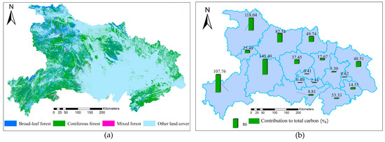 Spatial Pattern of Forest Carbon Storage in the Vertical and Horizontal ...